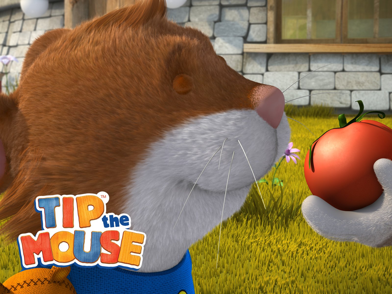 Watch Tip the Mouse | Prime Video
