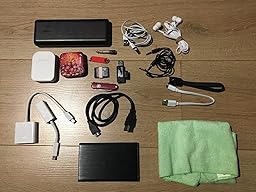 AmazonBasics Travel Case Electronic Devices (e.g. GPS, MP3 Portables ...