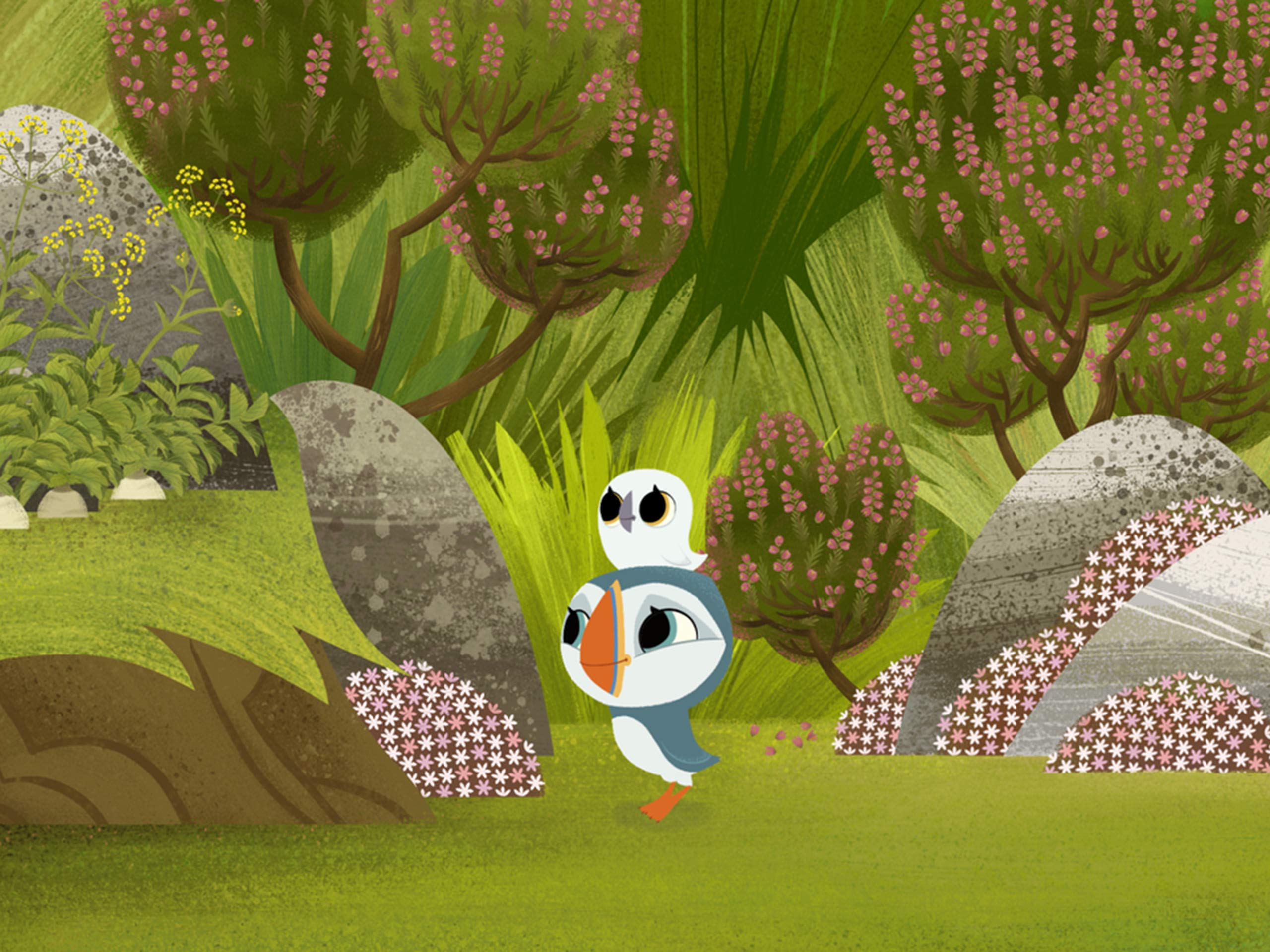 Watch Puffin Rock season 2 | Prime Video