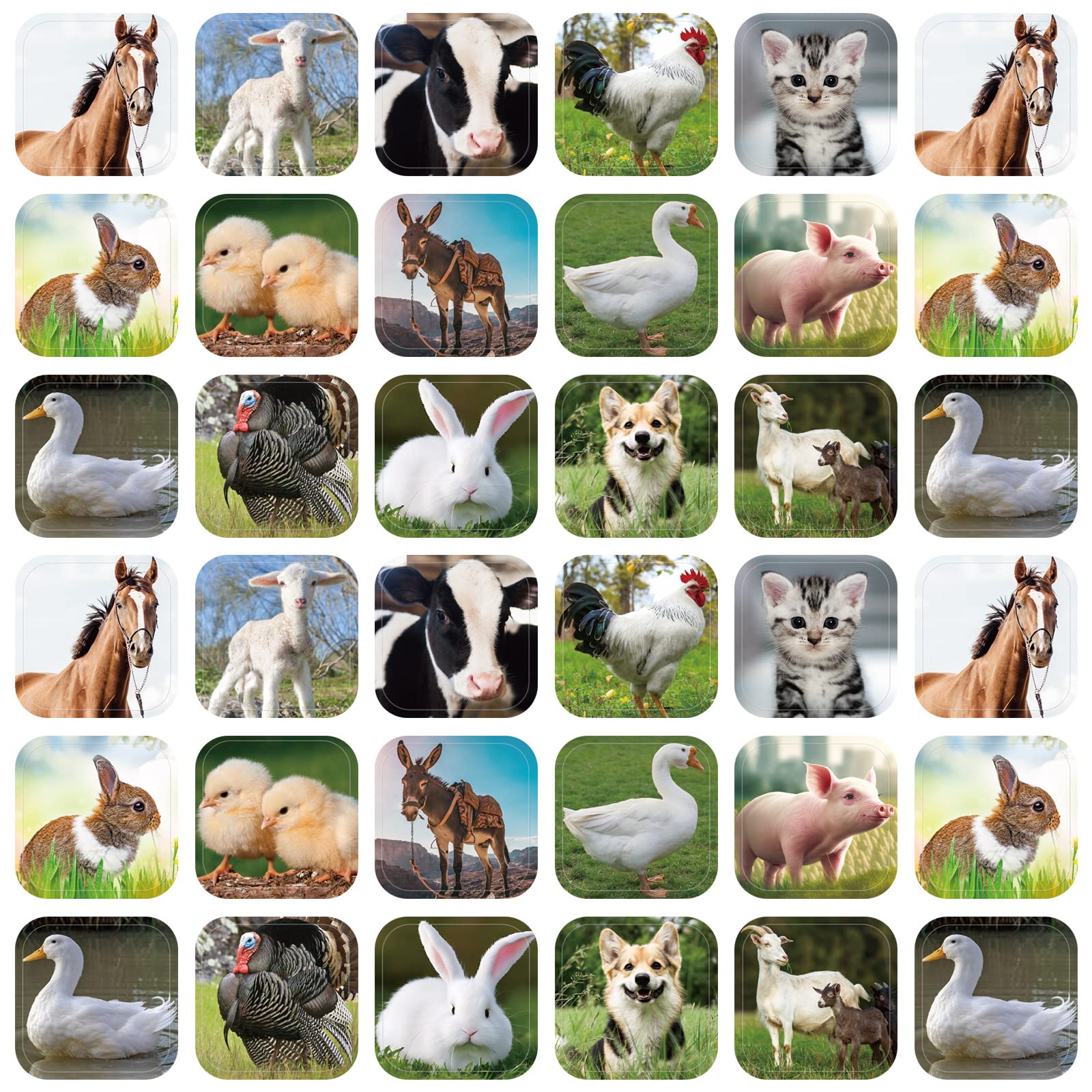 Mua 600 Pcs Farm Animal Stickers for Kids Farm Animals Photos Stickers ...