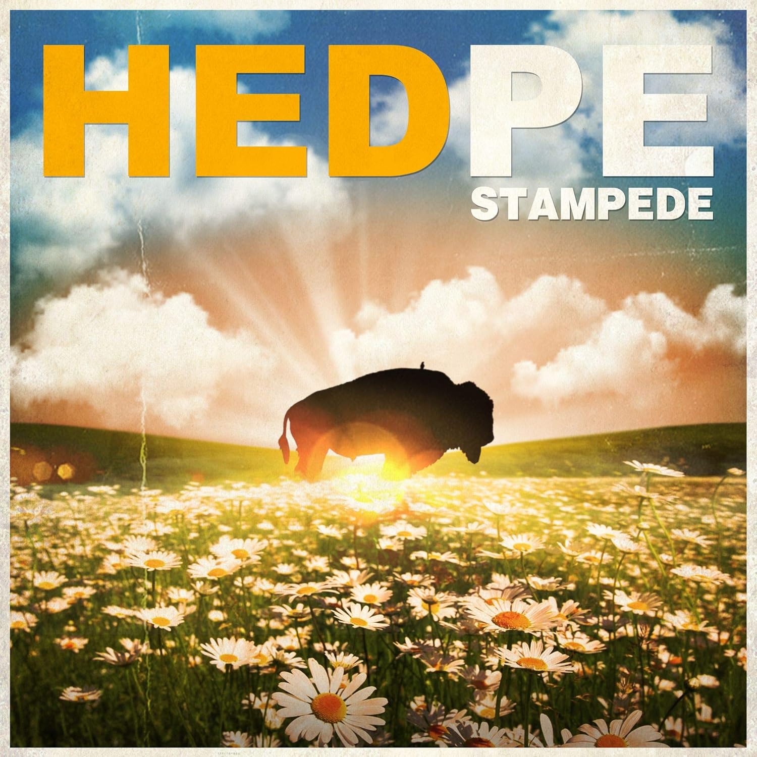 Stampede - (HED)P.E., Hed Pe: Amazon.de: Musik