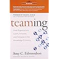 Teaming: How Organizations Learn, Innovate and Compete in the Knowledge ...