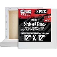 Amazon.com: U.S. Art Supply 12 x 12 inch Gallery Depth 1-1/2" Profile ...