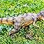 Papo 55027 - Figura de tiranosaurio Rex, color verde: Amazon.es ...