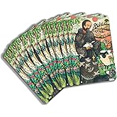 Amazon.com : St. Francis of Assisi Peace Prayer Cards - Set of 100 : Health & Household
