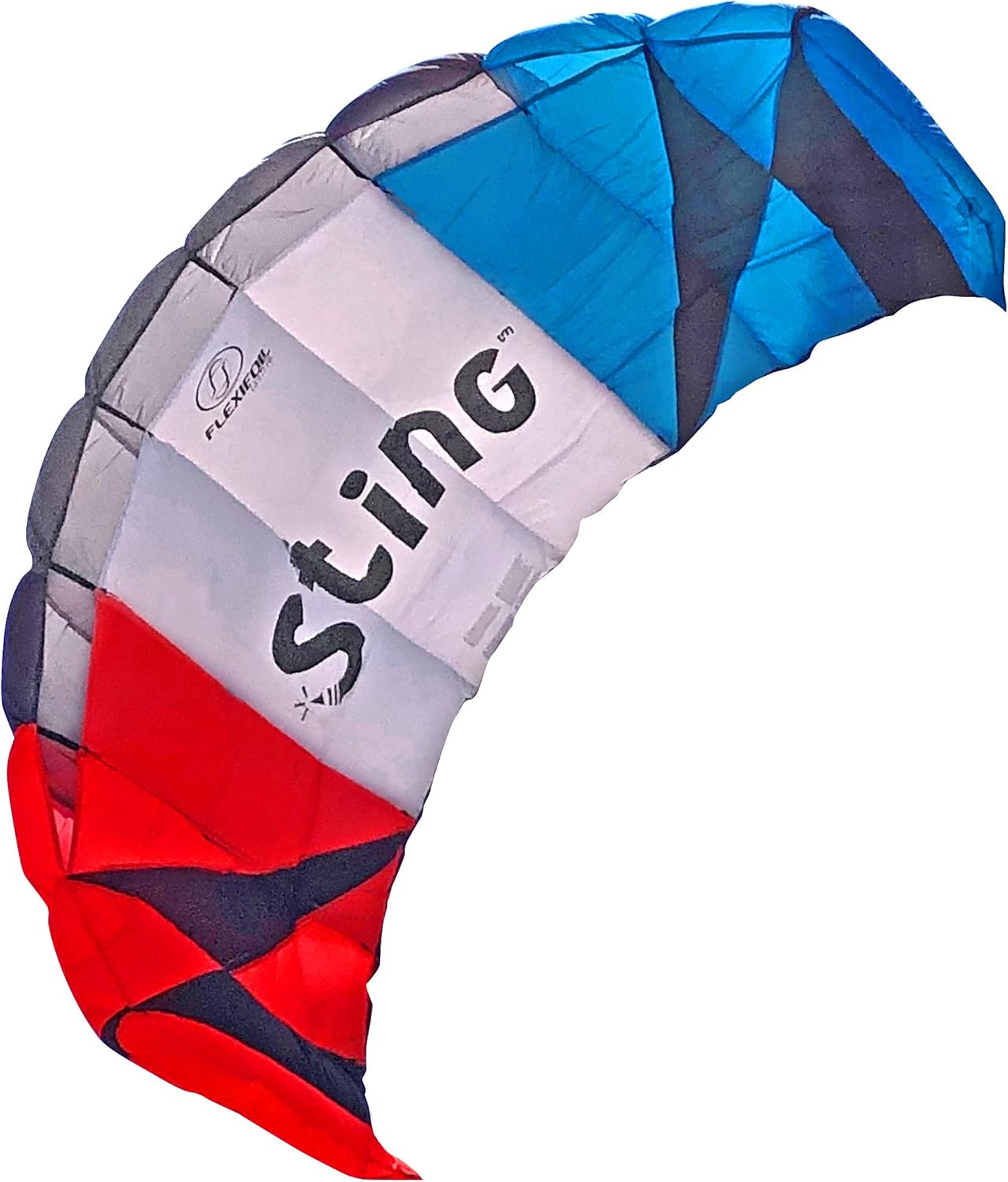 Flexifoil 2.6m Power Kite Sting Sport Foil | Older Kids and Adult ...