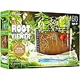Amazon.com: Root Viewer Kit for Kids - Grow Your Own Kids Garden for ...
