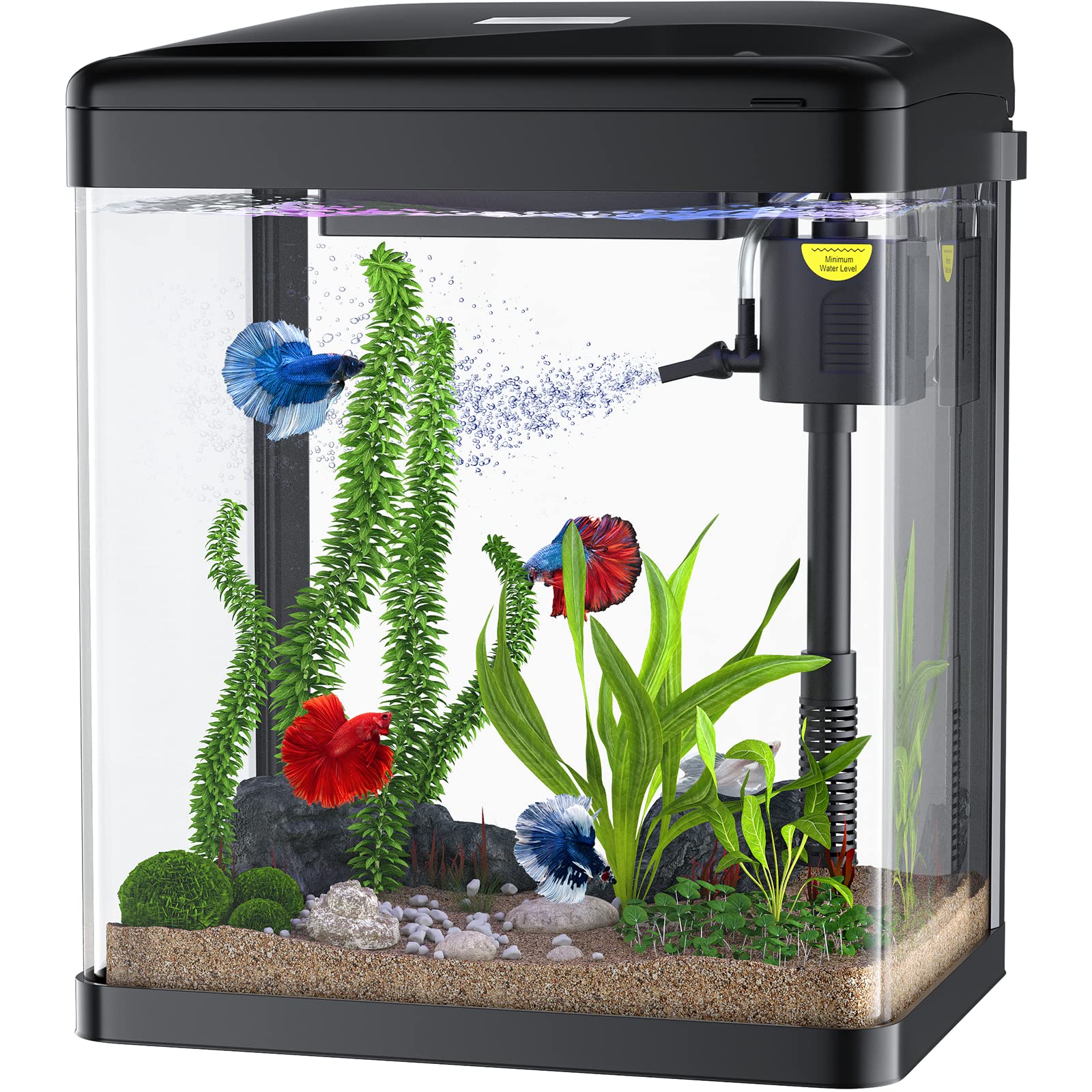 PONDON 2-Gallon Betta Fish Tank, Glass Aquarium with Filter & LED Light ...