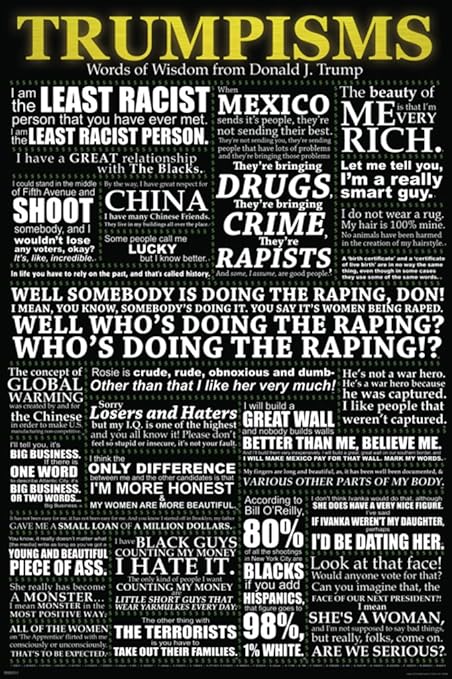 Amazon.com: Pyramid America Trumpisms Words of Wisdom from Donald Trump ...