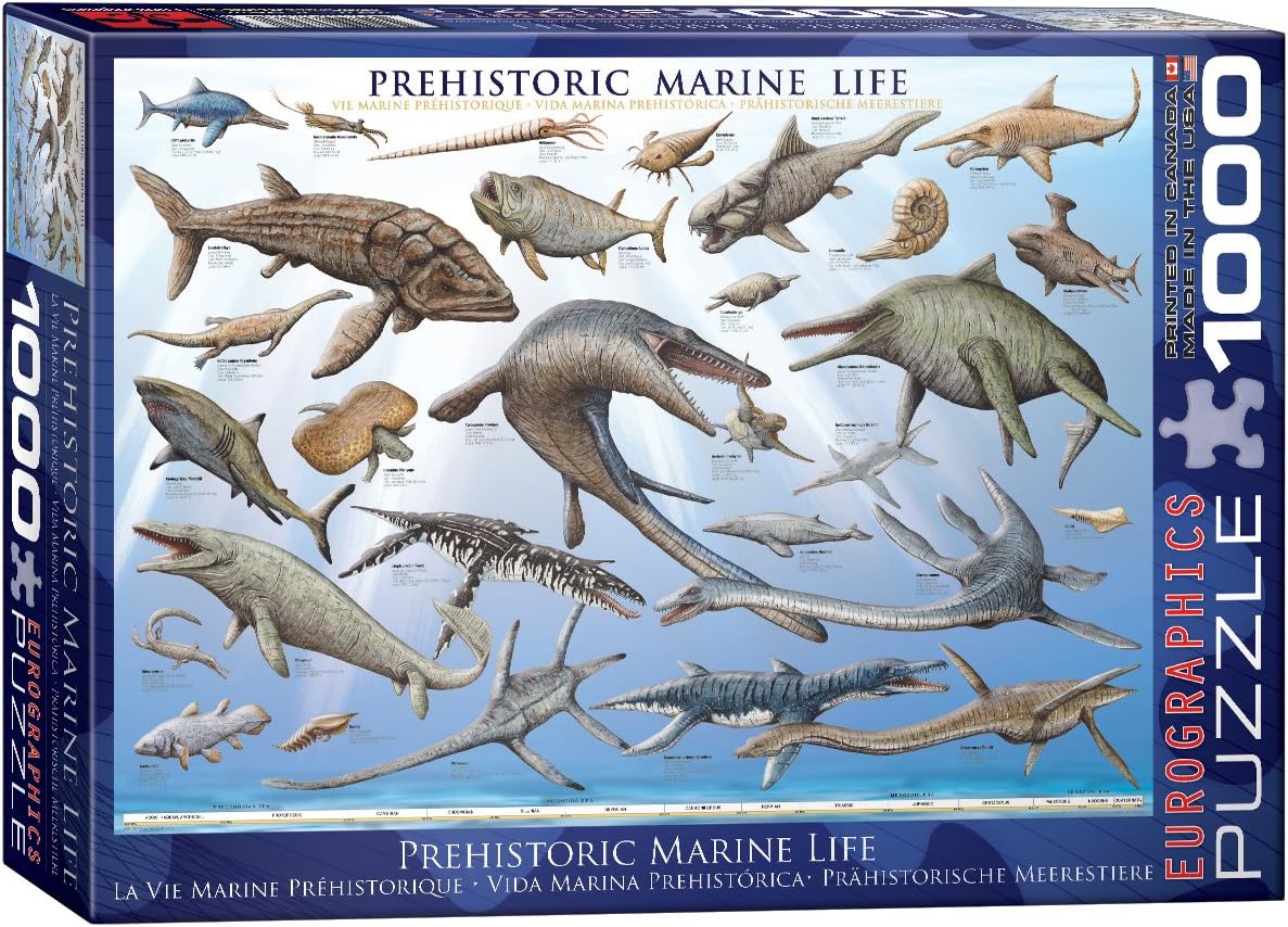 EuroGraphics Prehistoric Marine Life Puzzle (1000 Pieces): Amazon.co.uk ...