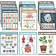 Amazon.com: 16Pcs Boho Science Posters for Classroom Middle School ...