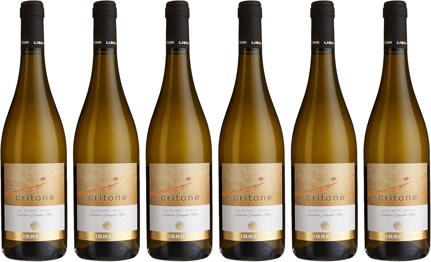 Librandi Critone Val di Neto Chardonnay trocken (6 x 0.75 l): Amazon.de ...