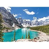 Amazon.com: BEDUKE Jigsaw Puzzles for Adults 1000 Pieces Thick Sturdy ...