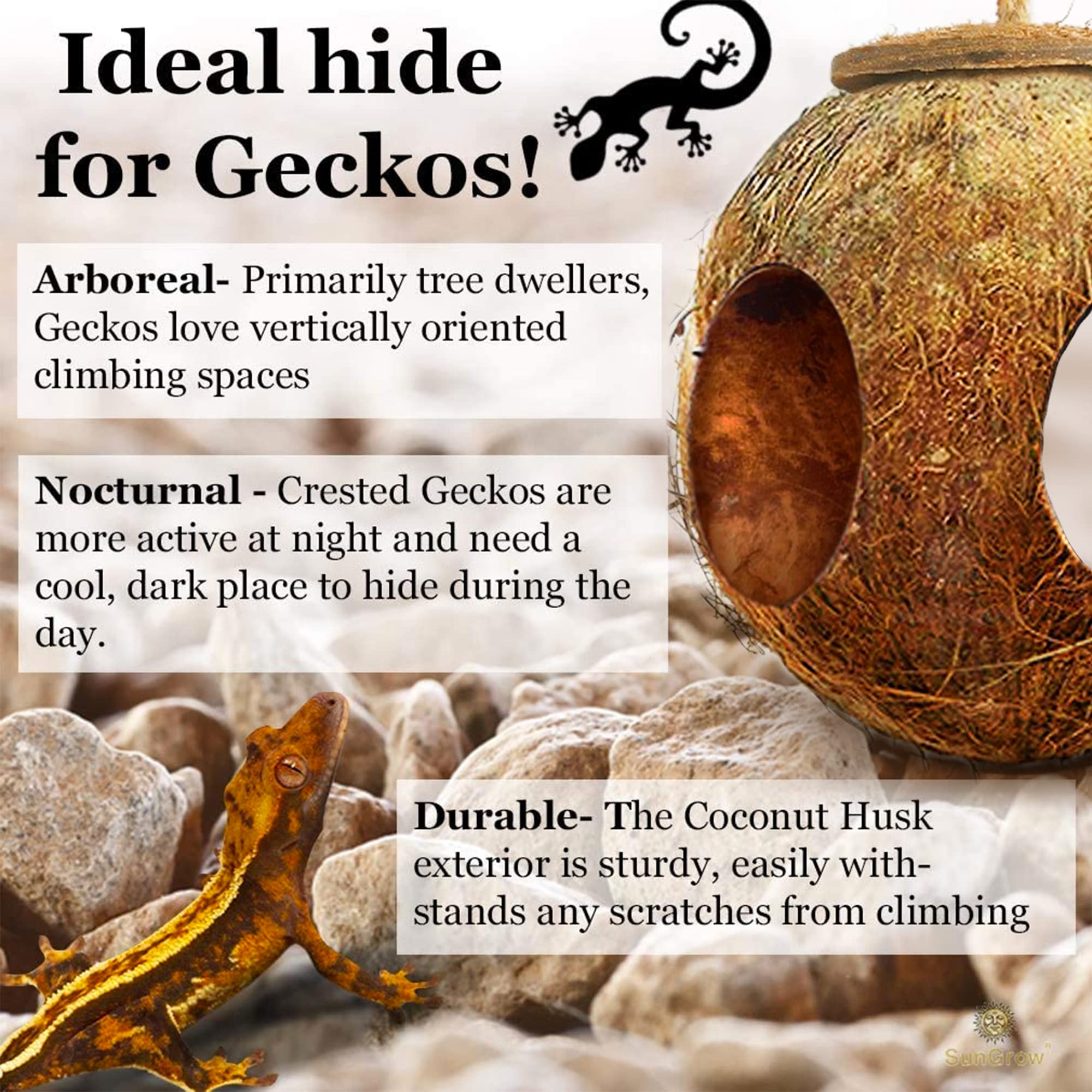 Mua Leopard Gecko Coco Hut, Gecko Climbing Accessories, Raw Coconut ...