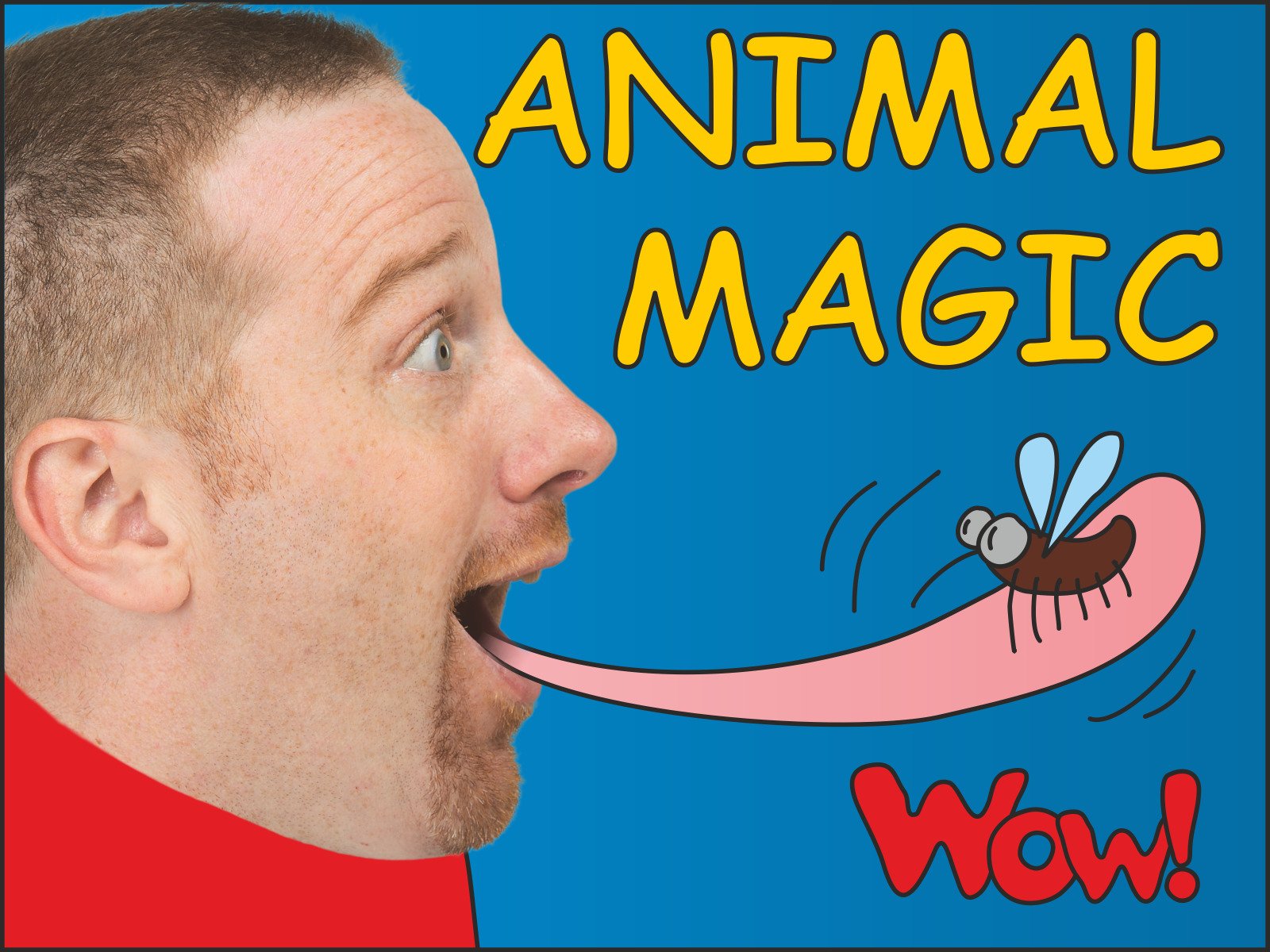Watch Learn & Play with Steve and Maggie | Prime Video