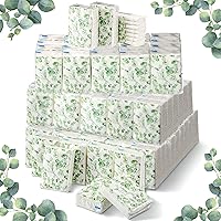 Amazon.com: 100 Pack Mini Tissue Packs Bulk 3-Ply Travel Tissues Packs ...