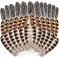 Amazon.com: 30Pcs Natural Turkey Spotted Feathers, 5-8 Inch Craft ...