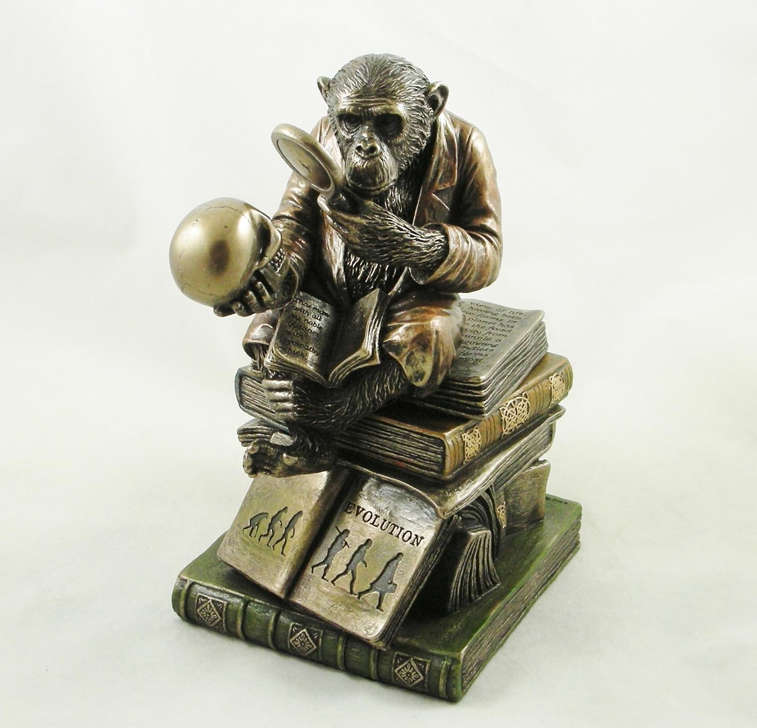 Veronese Darwin’s Monkey Sitting on the Theory of Evolution by Charles ...