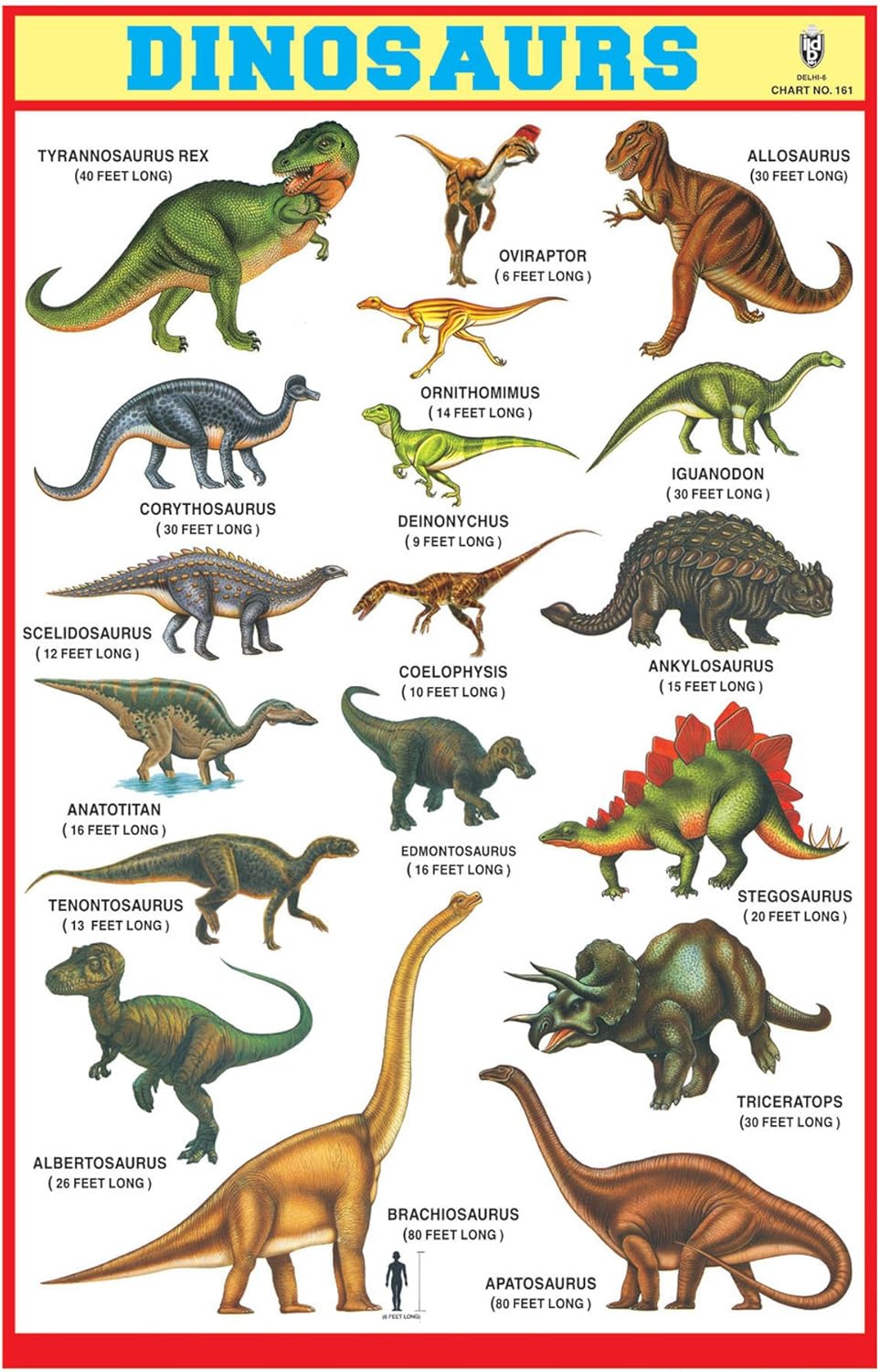 Dinosaur Names For Kids Dinosaurs Pictures And Facts 31 Dinosaur Facts