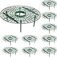 Amazon.com : Iceyyyy 10 Pack Strawberry Plant Support - Large Size ...