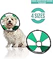 Amazon.com : ProCollar Pet Recovery Cone E-Collar for Dogs and Cats ...