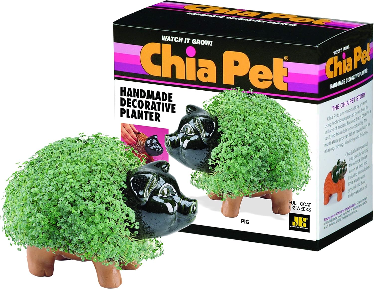 Amazon.com: Chia Pet Handmade Decorative Planter- Pig: Home & Kitchen