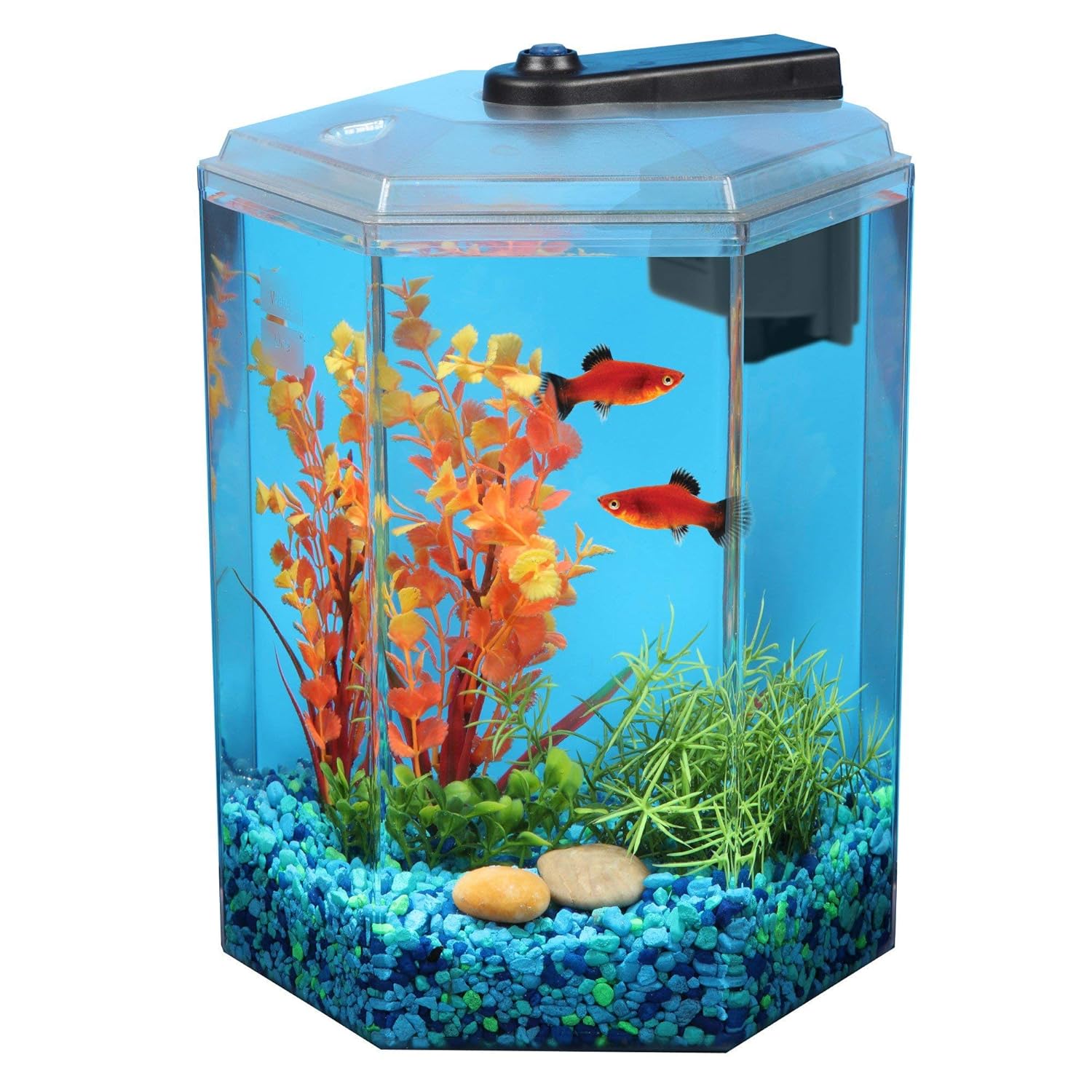 Oceanic Octagon Fish Tanks And Sizes