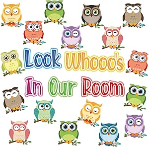 Amazon.com : 70 Pcs Colorful Owls Bulletin Board Decoration Set Mix Owl ...