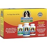 Amazon.com : Winston’s Pain Formula - for Dogs of All Ages and Sizes ...