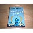 The Phenomenon of Man (Harper Torchbooks): Pierre Teilhard de Chardin ...