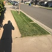 Amazon.com : Southland Sod 4 Marathon II Grass Seed Mix, 5 Pounds ...