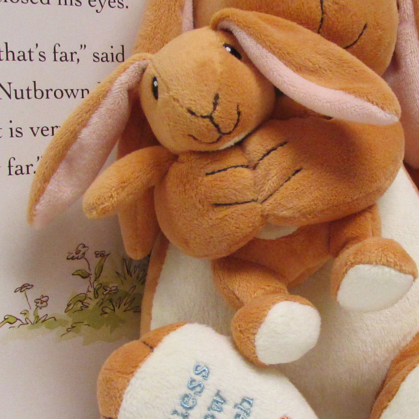 Guess-How-Much-I-Love-You-Big-Nutbrown-Hare-and-Little-Nutbrown-Hare ...