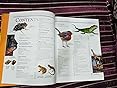 The Kingfisher Animal Encyclopedia (Kingfisher Encyclopedias): Burnie ...