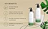 Cel Microstem Biotin Shampoo - Anti Hair Thinning & Regrowth Formula ...