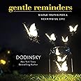 Gentle Reminders: Simple Truths for a Meaningful Life: Dodinsky ...
