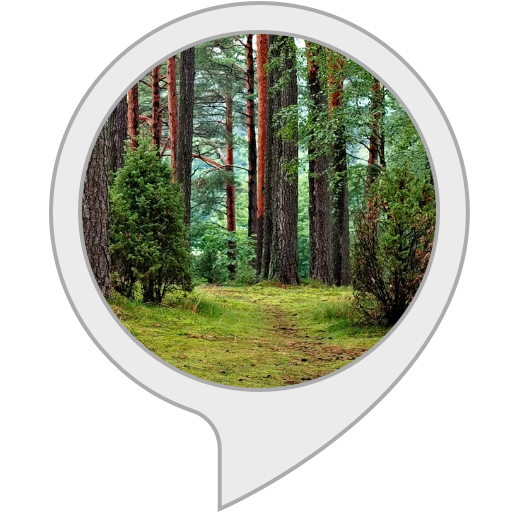 Amazon.in: forest sound : Alexa Skills