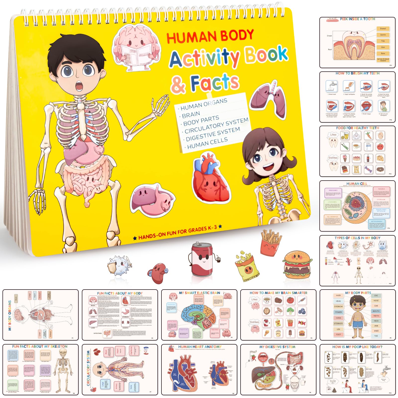 Mua Human Body Anatomy Busy Book for Kids, Montessori Homeschool ...