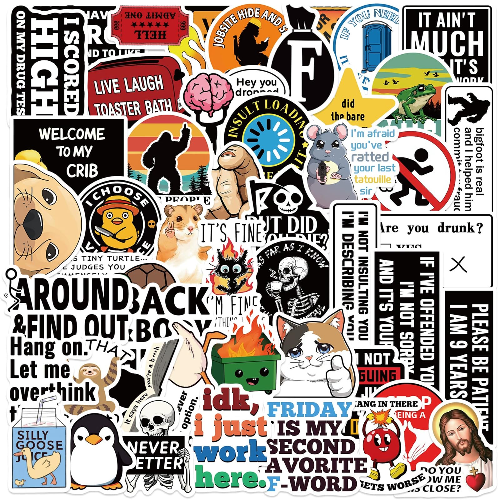 50Pcs Funny Stickers Set, Funny dr, Memes Decals, Nutritional Stickers ...