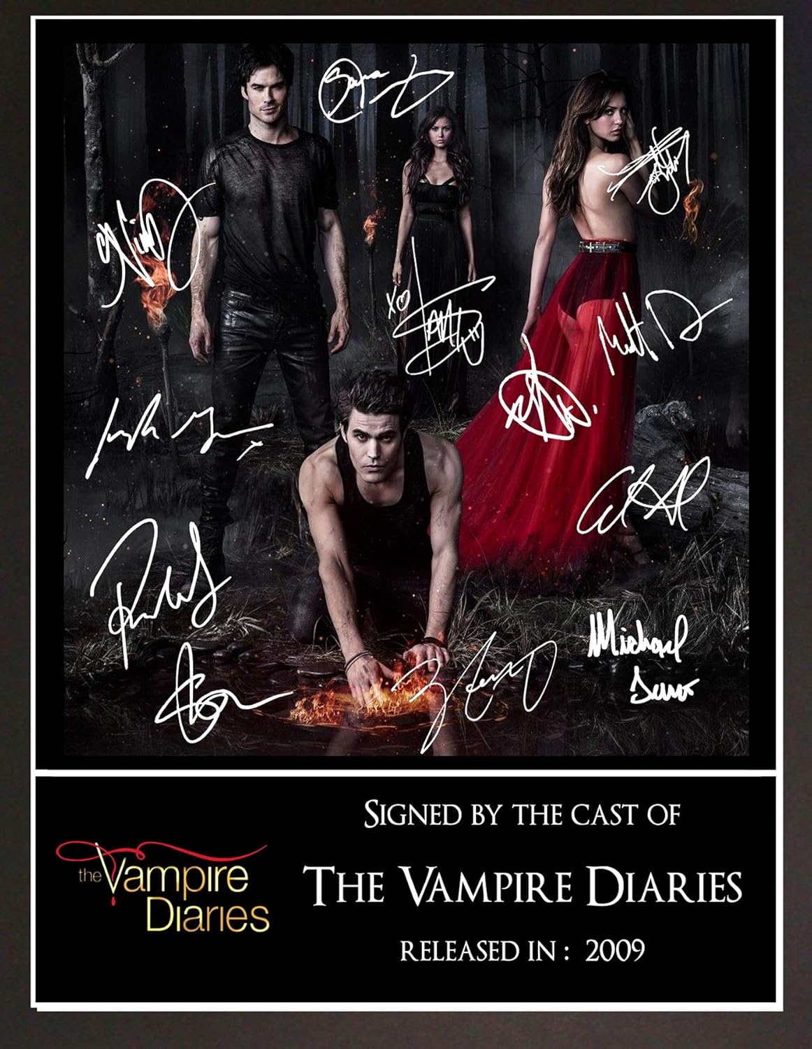 Everything But That Vampire Diaries Movie Poster Version 2 Signed ...