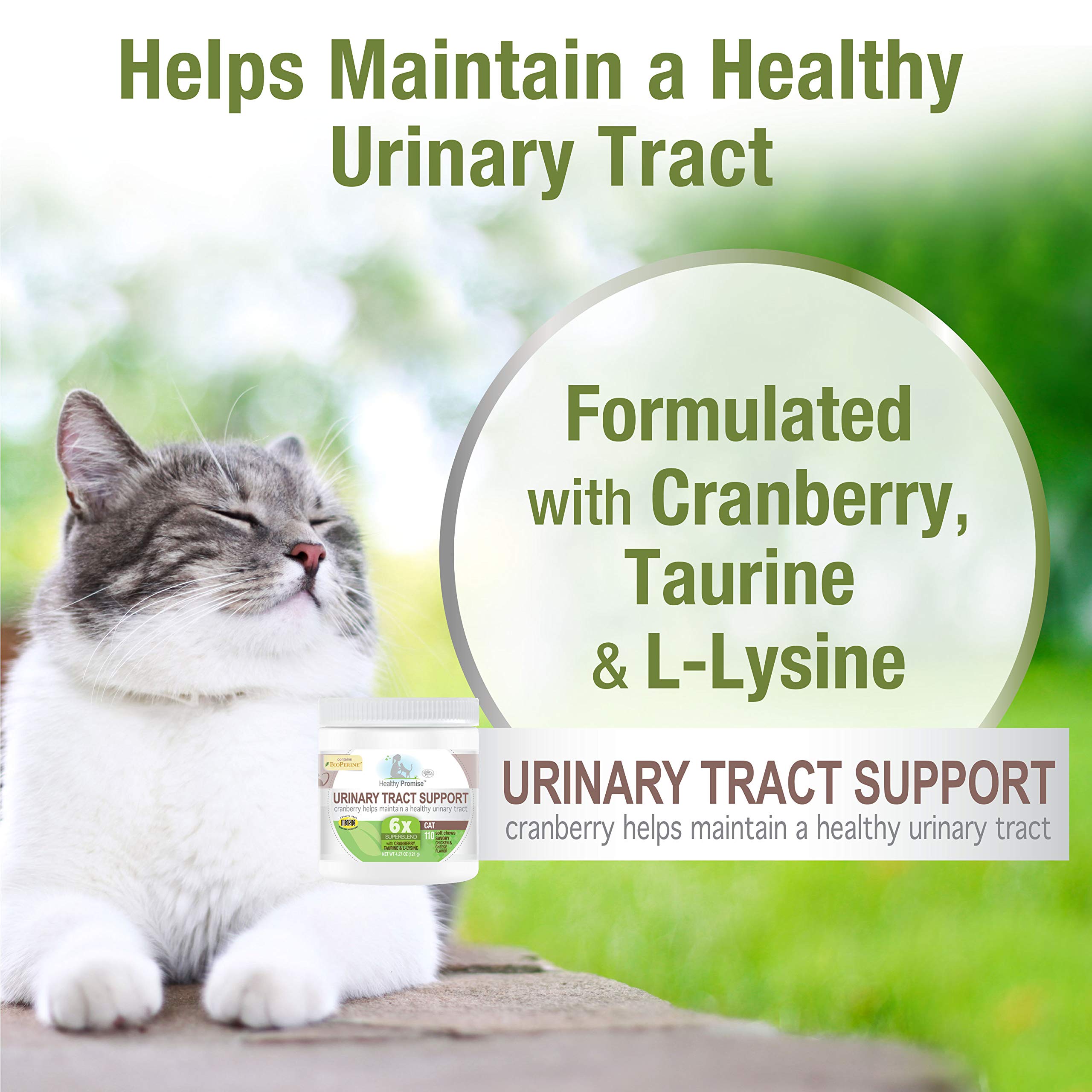 Mua Four Paws Healthy Promise Cat Urinary Tract Supplement Soft Chews ...