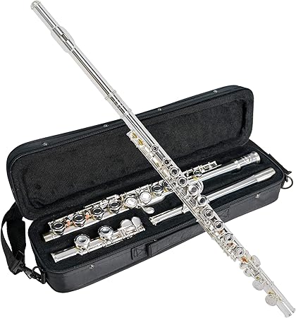 Sonata Student Flute: Amazon.co.uk: Musical Instruments