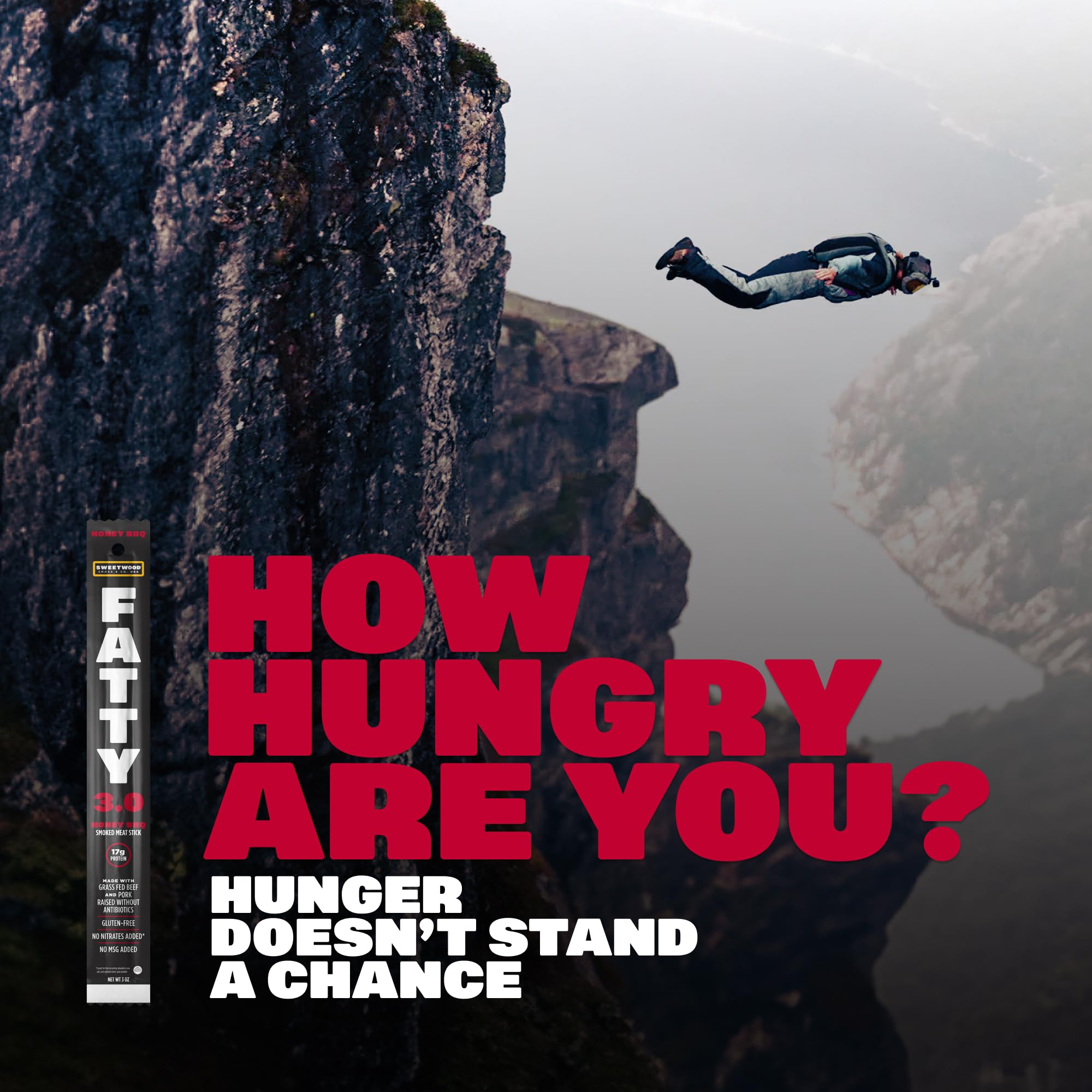 FATTY Grass-Fed Beef Smoked Meat Sticks, Honey BBQ Flavor, 19g Protein ...