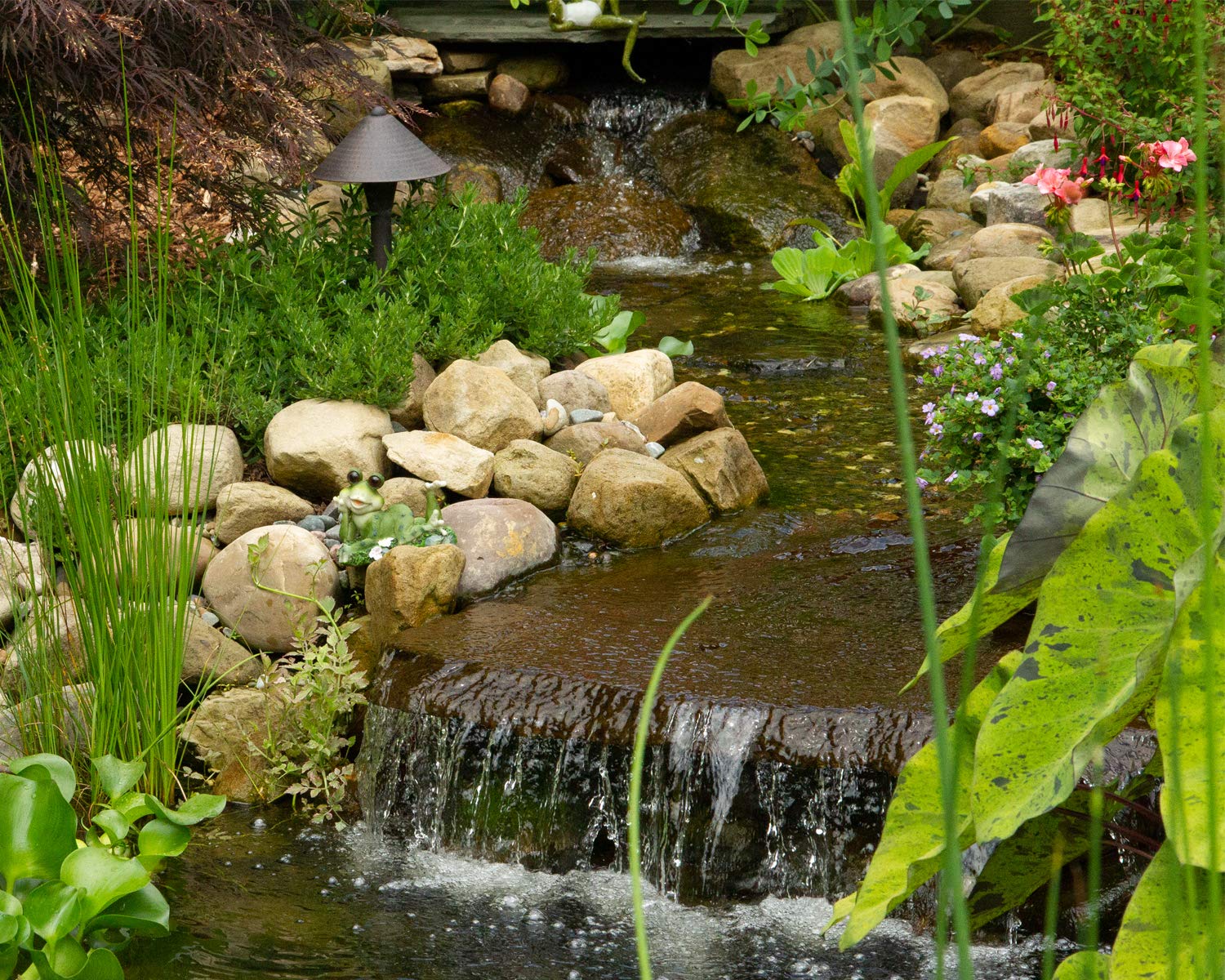 Mua Water Gardens BF1600 Pond Filter & Waterfall Spillway, 16-inch ...