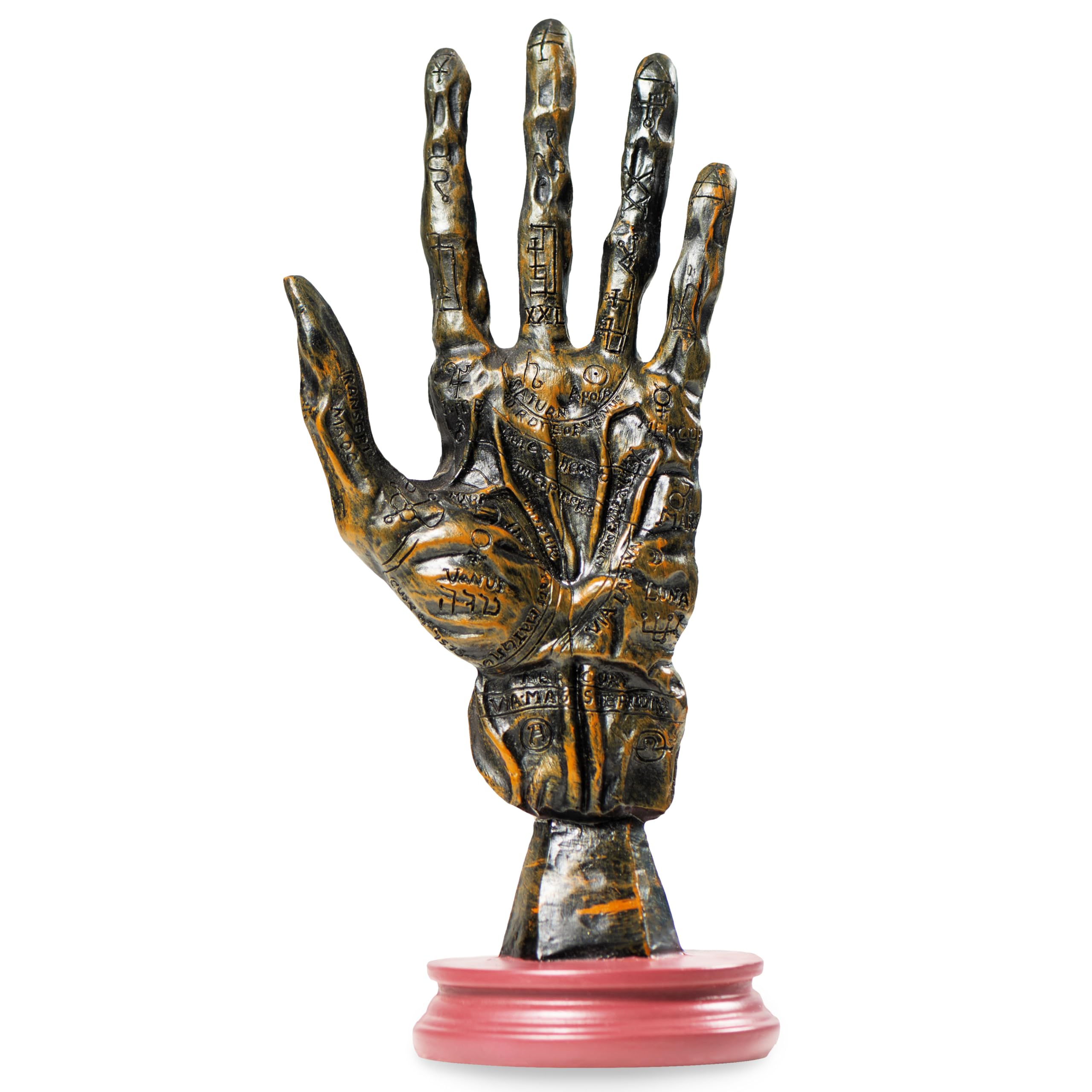 Palm Reading Hand 5x4x11, Hand Decor, Palmistry Hand Sculpture, Witchy ...