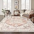 Amazon.com: LIVEBOX 8x10 Area Rug for Living Room, Washable Orange Boho ...