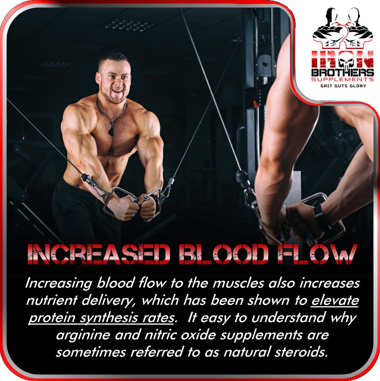 Nitric Oxide Supplements NO2 Booster Pre workout with Fermented L ...