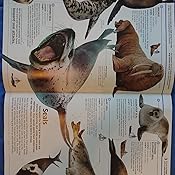 Animal!: DK, Smithsonian Institution: 9781465453358: Amazon.com: Books