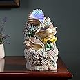 Amazon.com: GOSSI Themed Coral Shell Fountain Tabletop Home Décor ...