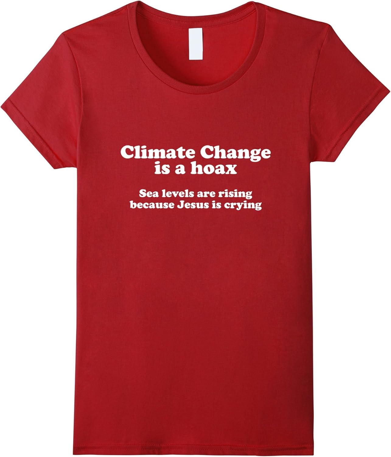 Amazon.com: Earth "Climate Change Is a Hoax" T-Shirt: Clothing