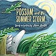 Possum and the Summer Storm: Hunter, Anne: 9780544898912: Amazon.com: Books